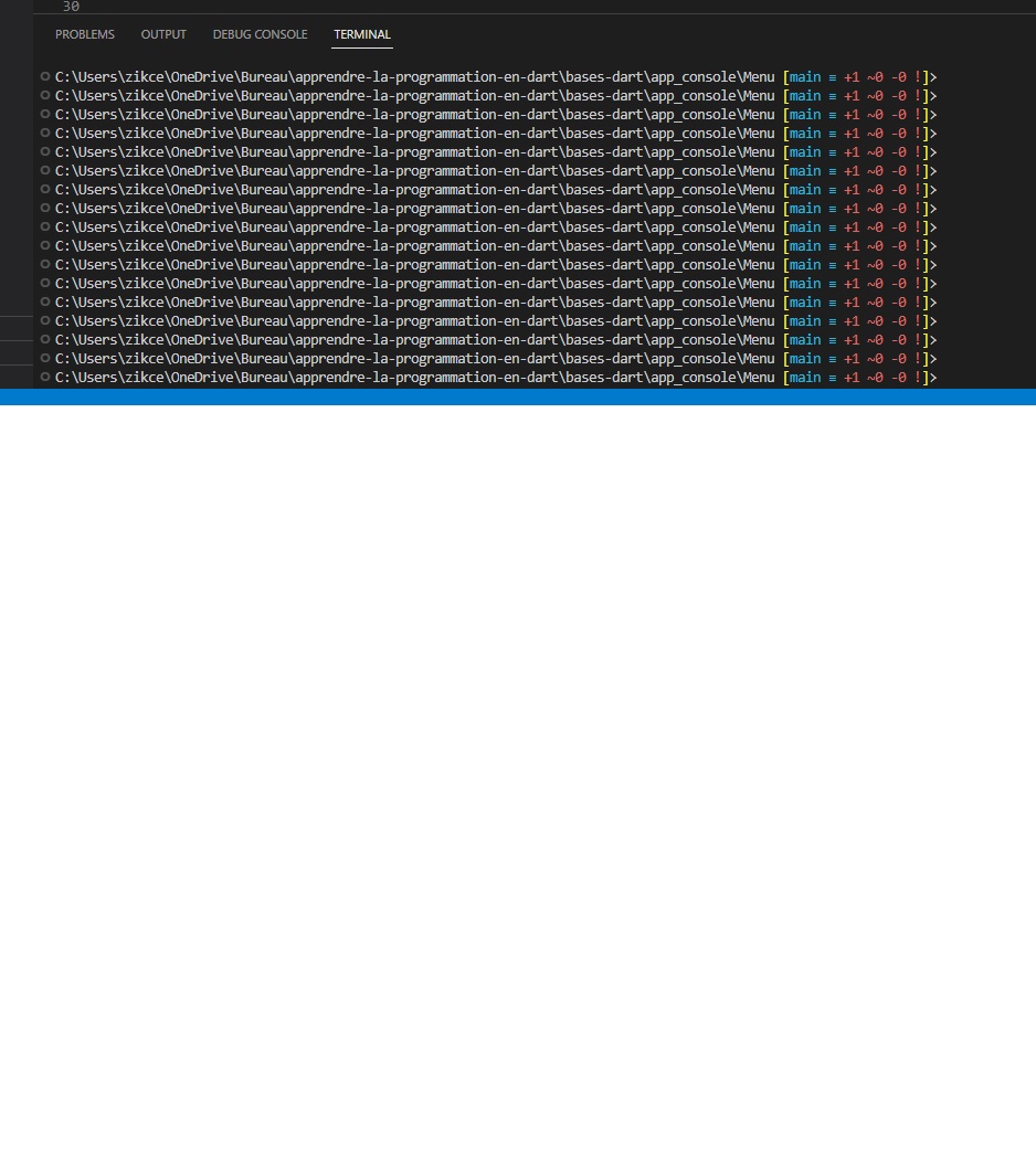 Ligne De Commande Dans Terminal VS Code Infinie Purple Giraffe